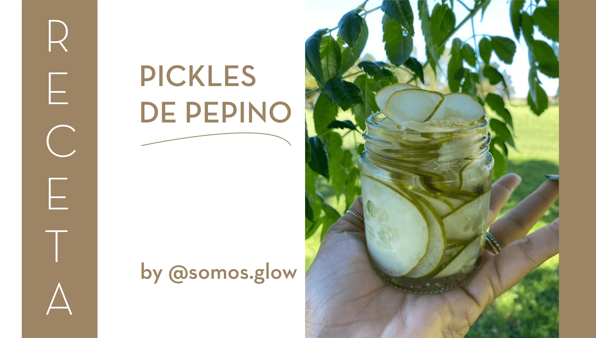 Pickles de pepinos | Country Magazine