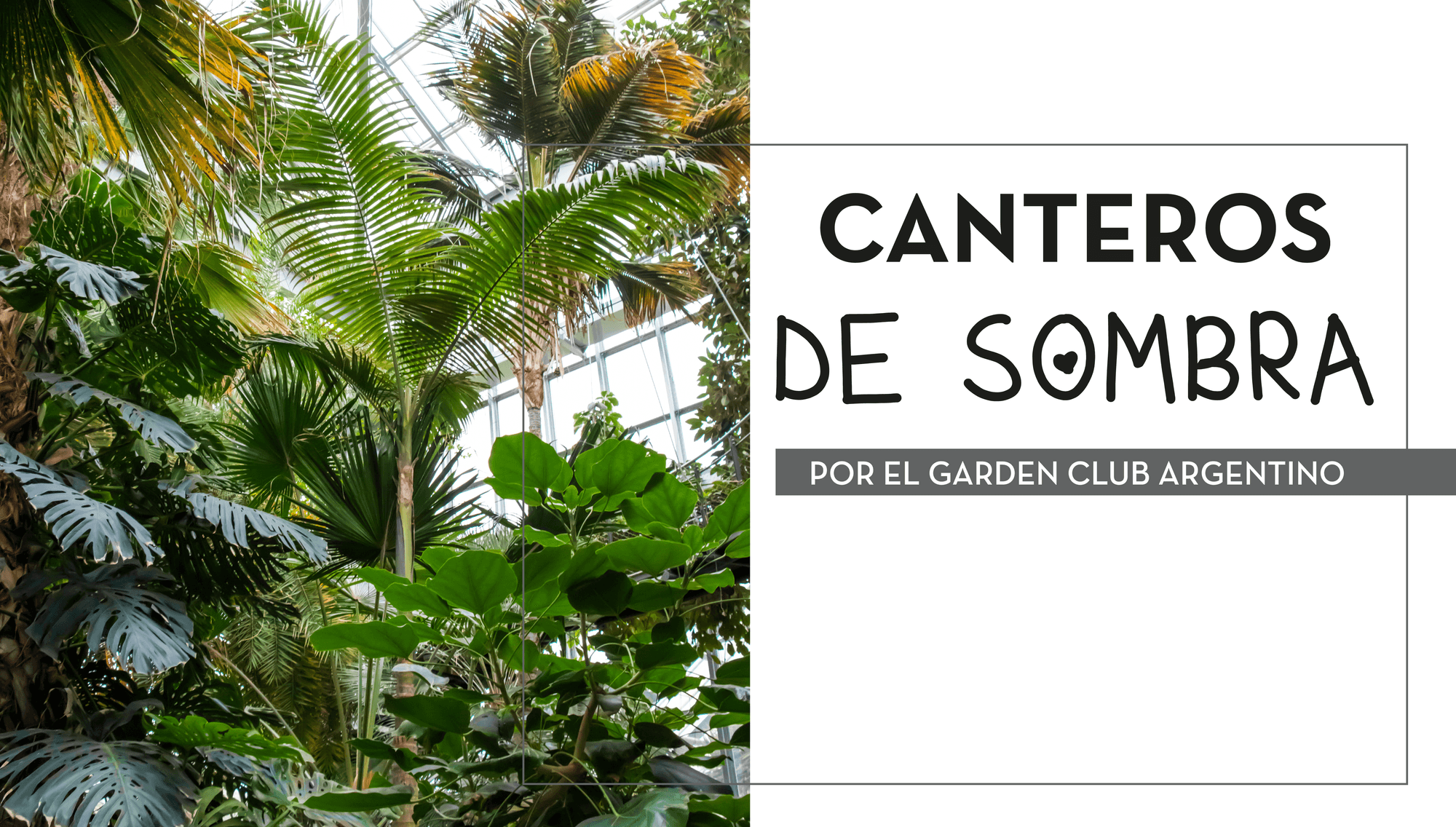 Canteros de sombra | Country Magazine