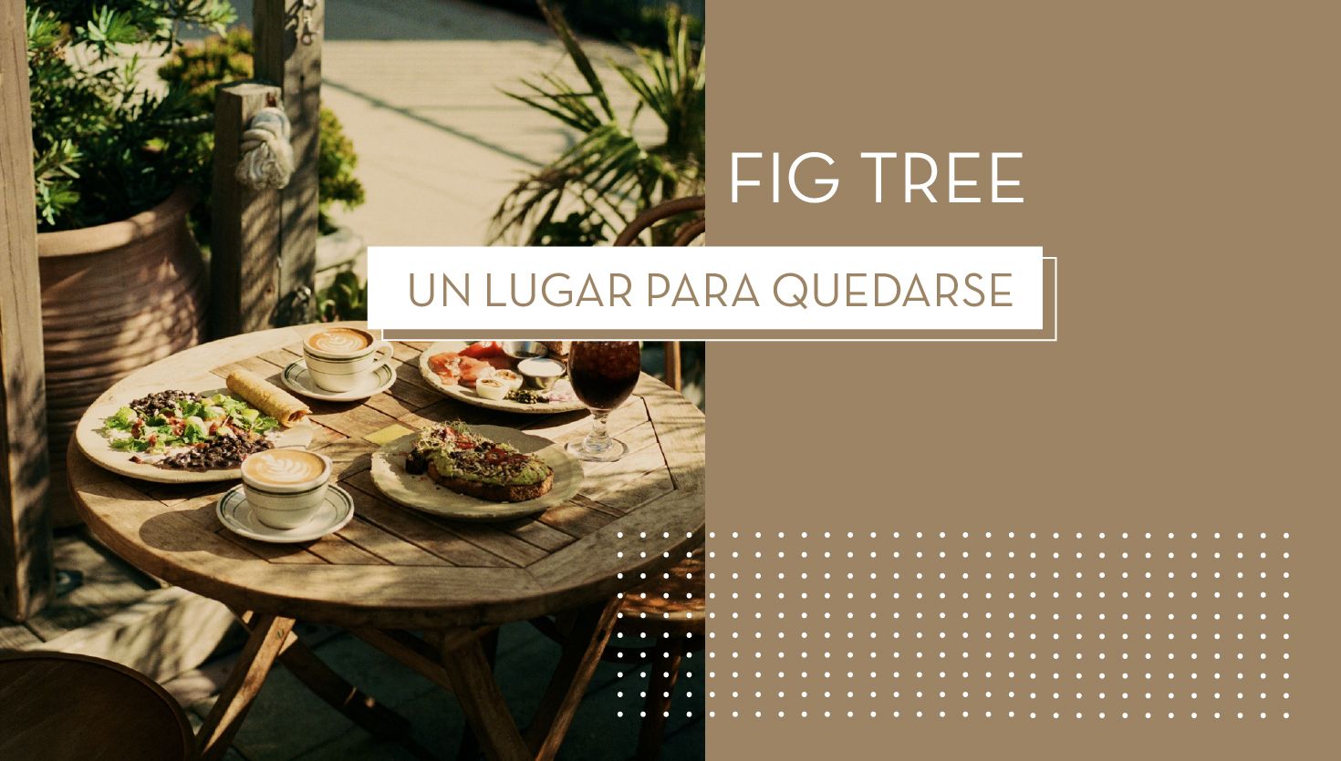 Fig Tree, un lugar para quedarse | Country Magazine