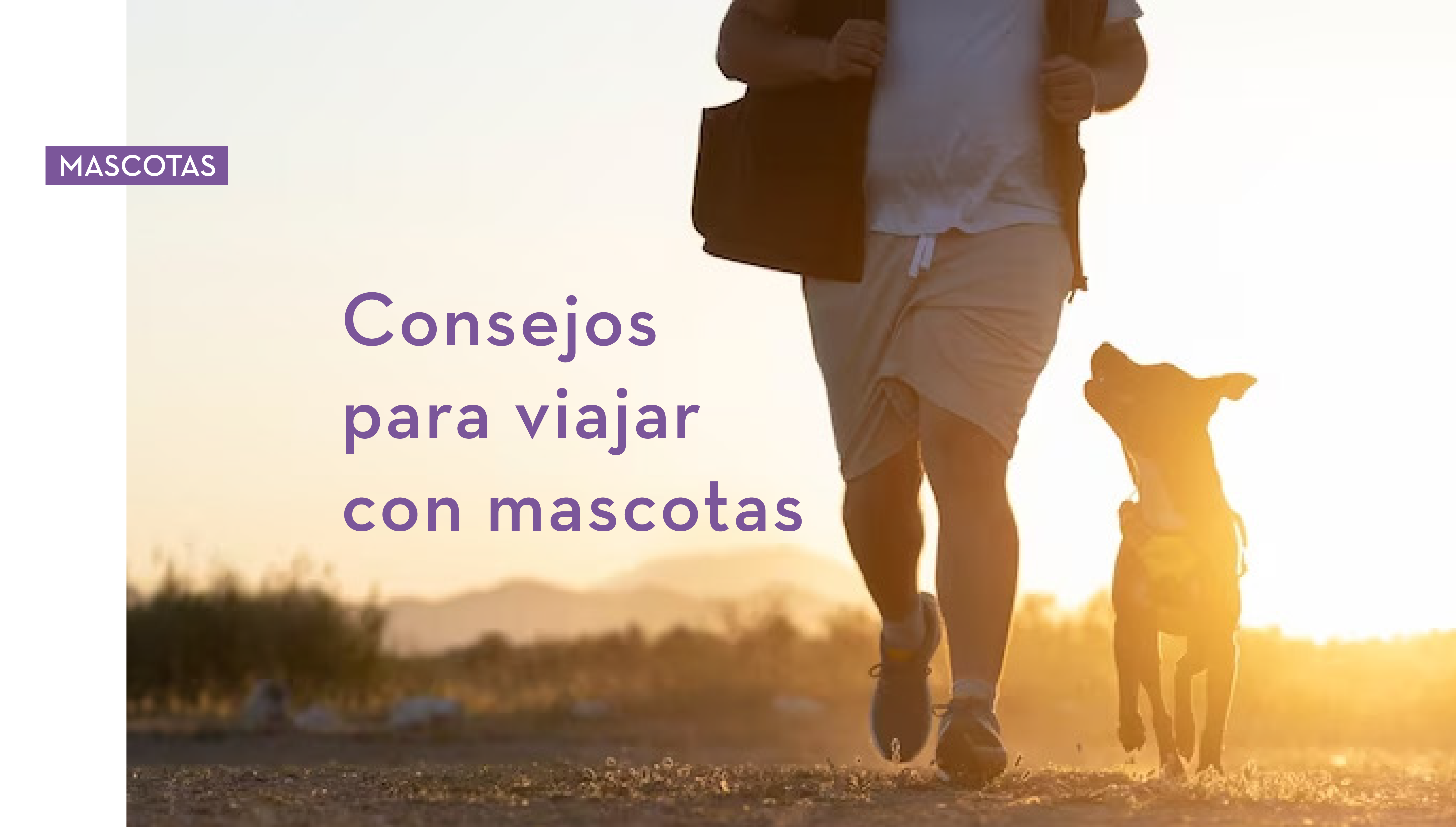 Consejos para viajar con mascotas | Country Magazine