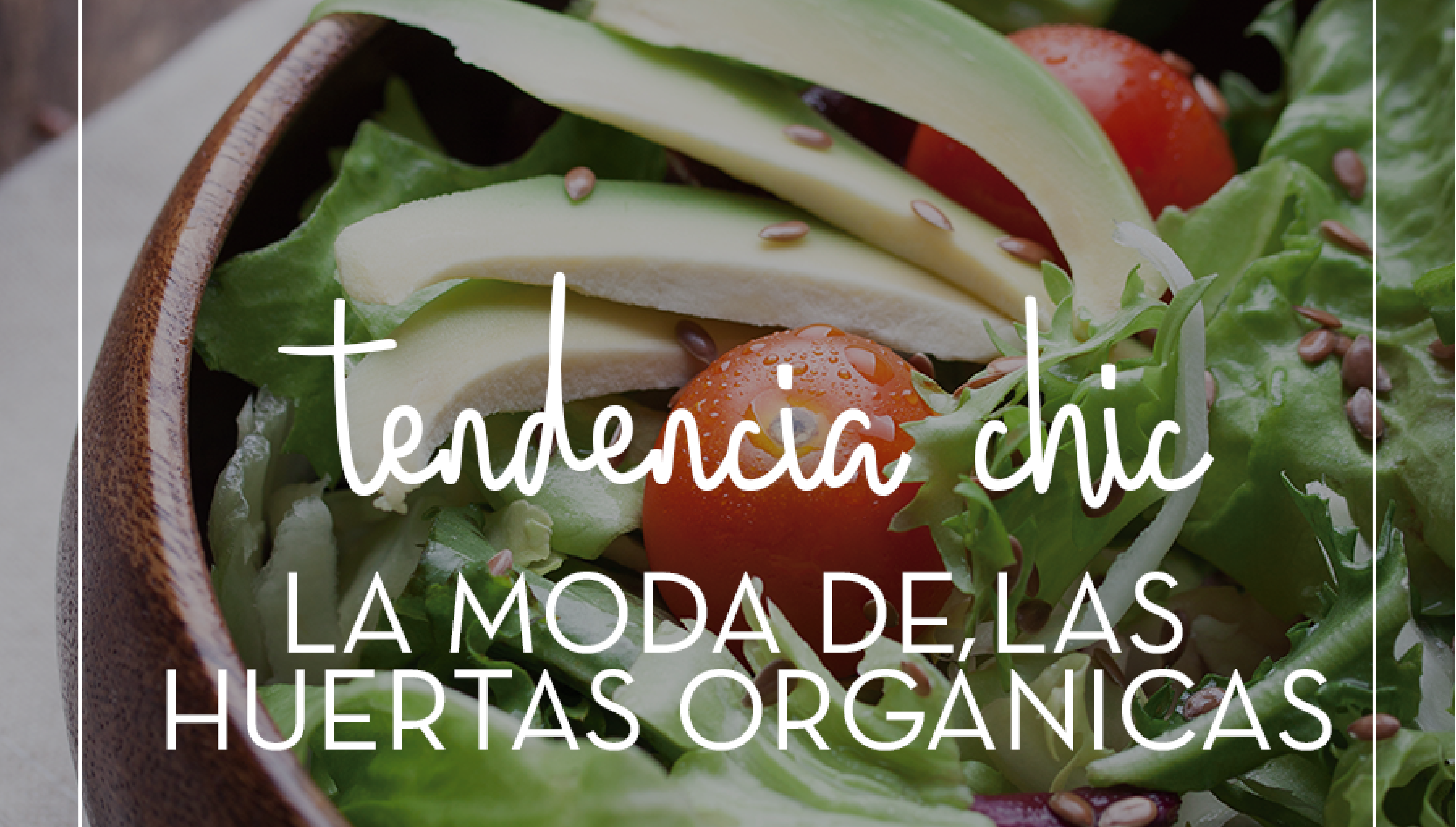 Tendencia Chic | Country Magazine